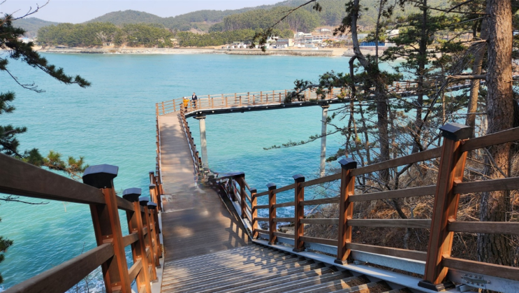 만리포해수욕장 숙소 롱비치패밀리호텔 물닭섬해안테크 천리포 수목원 네이버 블로그