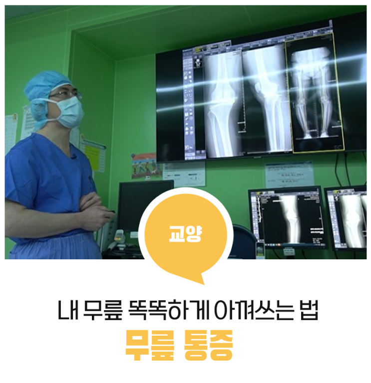 Ebs 명의 내 무릎똑똑하게 아껴쓰는 법 네이버 블로그