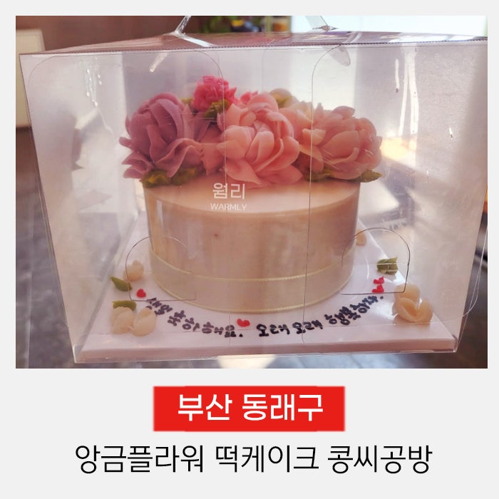 부산떡케이크 꽃 앙금플라워케이크 동래 콩씨공방 레터링 제작 후기 네이버 블로그