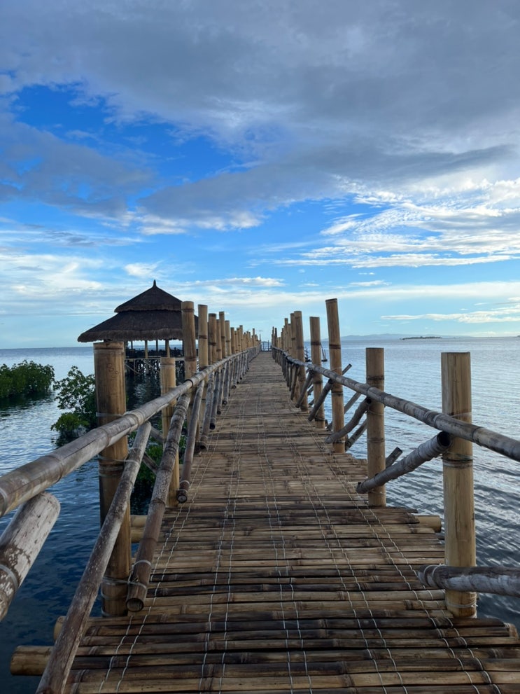 [보홀 노스젠 빌라] 맹그로브 숲, 일몰맛집, 선셋요가, 조식 후기 : 네이버 블로그