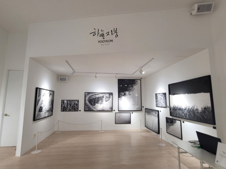 서울 사진전 강승윤 개인전 유연 Yooyeon 하늘지붕 성수 서울숲 전시회 추천 네이버 블로그