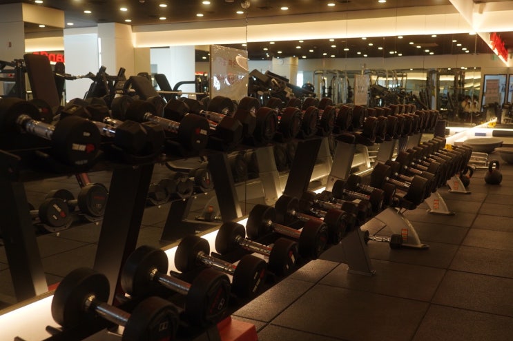 [구로 피티] 식사량을 줄여도 살이 찌는 이유 : 네이버 블로그