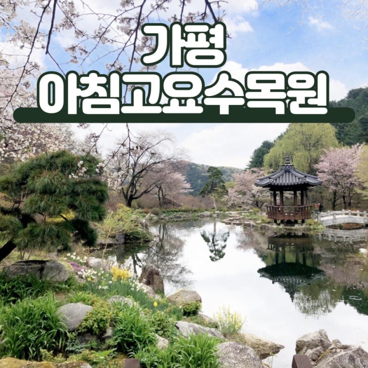 가평 아침고요 수목원 경기도 벚꽃명소 봄에 꽃구경 가볼만한곳 네이버 블로그