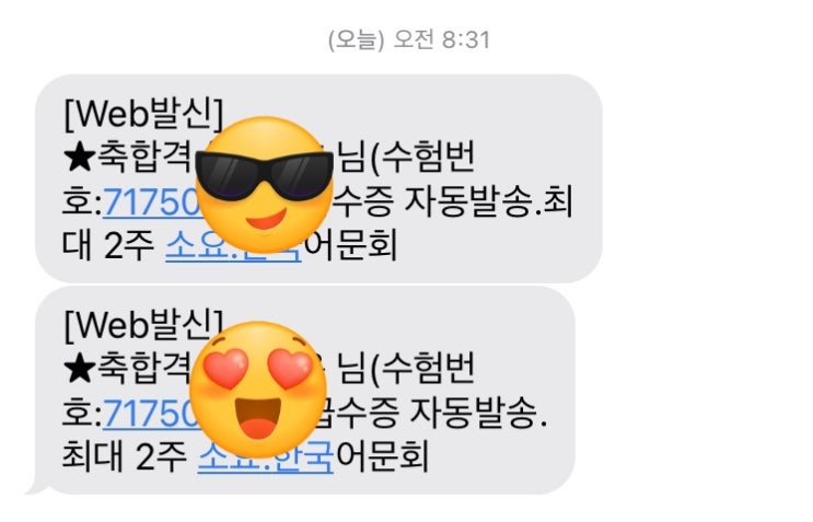 초4,2. 어문회 5급 합격 : 네이버 블로그