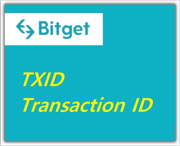 비트겟 TXID(Transaction ID) 확인 방법 : 네이버 블로그