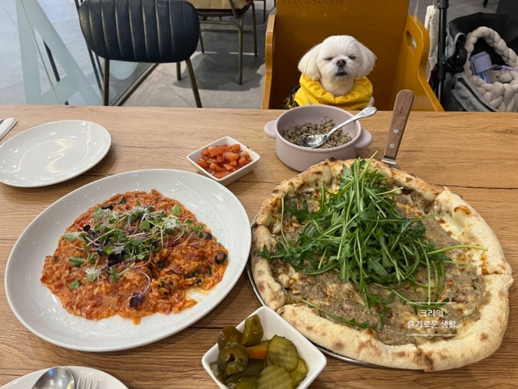 남양주 현대아울렛 애견동반 맛집 코코스퀘어 트라토리아 피자가 맛있어요 네이버 블로그