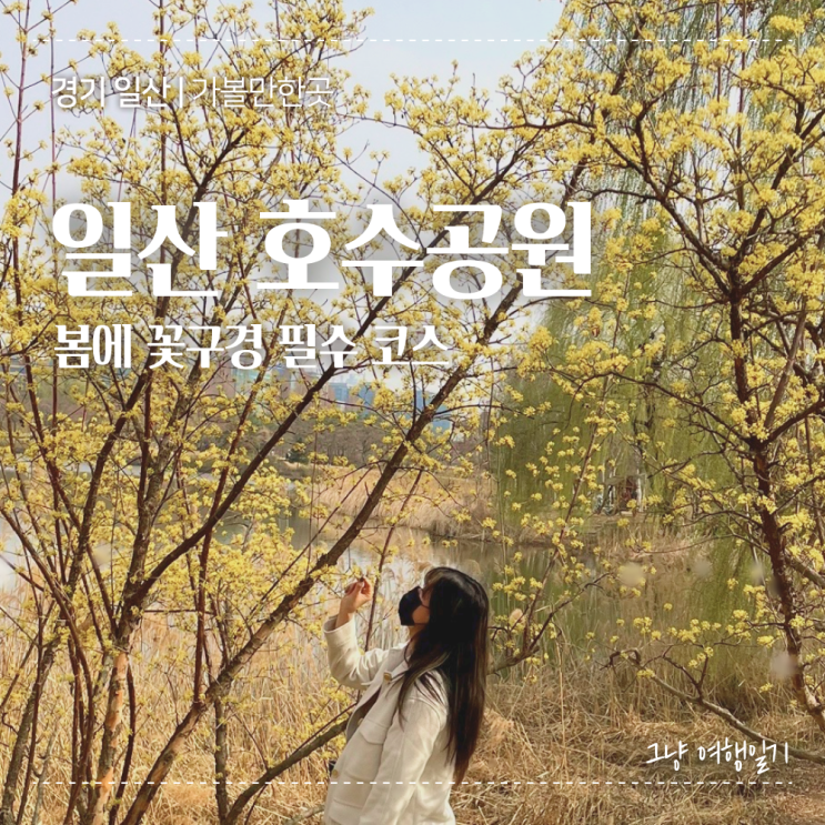 일산 가볼만한곳 일산호수공원 벚꽃 명소 꽃구경 주말데이트 🌸 벚꽃개화시기 네이버 블로그