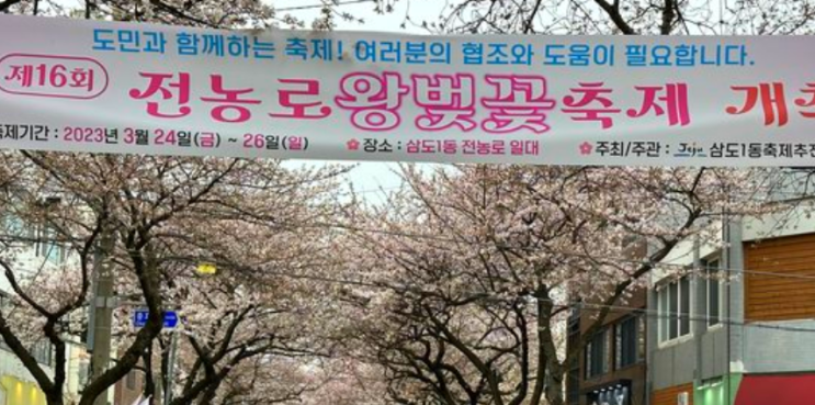 2023 제주 왕벚꽃 축제 전농로 벚꽃축제 장전리 왕 벚꽃 축제 소식입니다 네이버 블로그