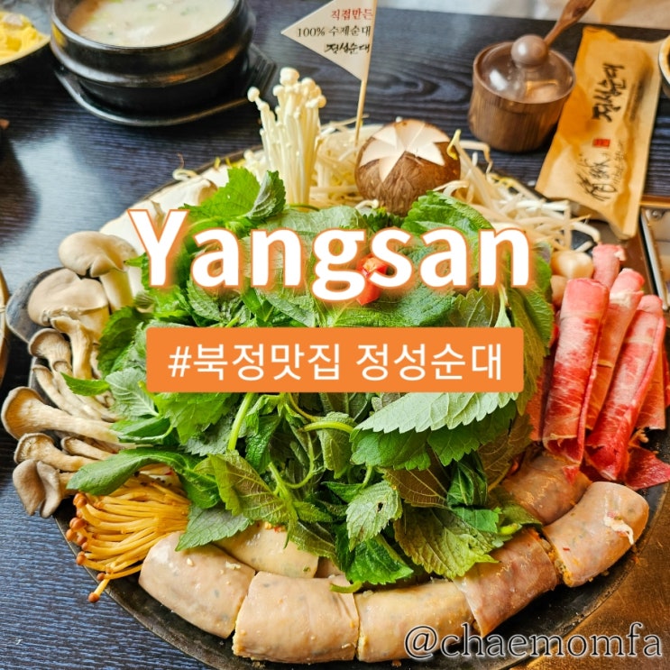 양산북정맛집 정성순대 술 안주로 좋은 순대전골 맛집 한우 곱창 순대전골 전문점 네이버 블로그