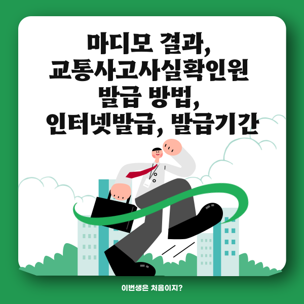 마디모 결과 교통사고사실확인원 발급 방법 인터넷발급 발급기간 파출소 효력 정정 네이버 블로그