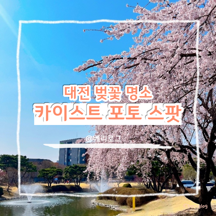 대전 벚꽃 명소 실시간 카이스트 개화 상태와 오리연못 목련 마당 어은동산 포토 스팟 추천 네이버 블로그
