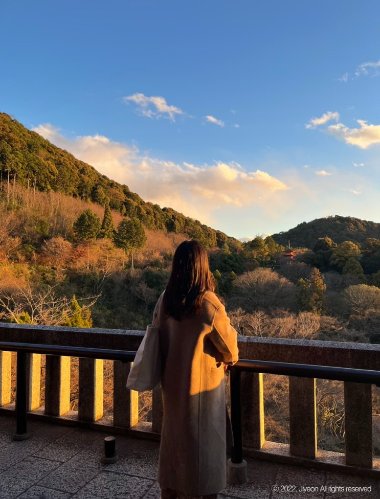 일본 오사카여행 3일차 : 우메다에서 교토 당일치기(아라시야마 치쿠린-기요미즈데라 청수사) 갸아테이 오반자이정식 하나타코 ...