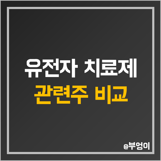 국내 유전자 치료제 관련주 비교 신테카바이오 지노믹트리 코오롱생명과학 신라젠 씨젠 셀레믹스 마크로젠 제놀루션 헬릭스미스 랩지