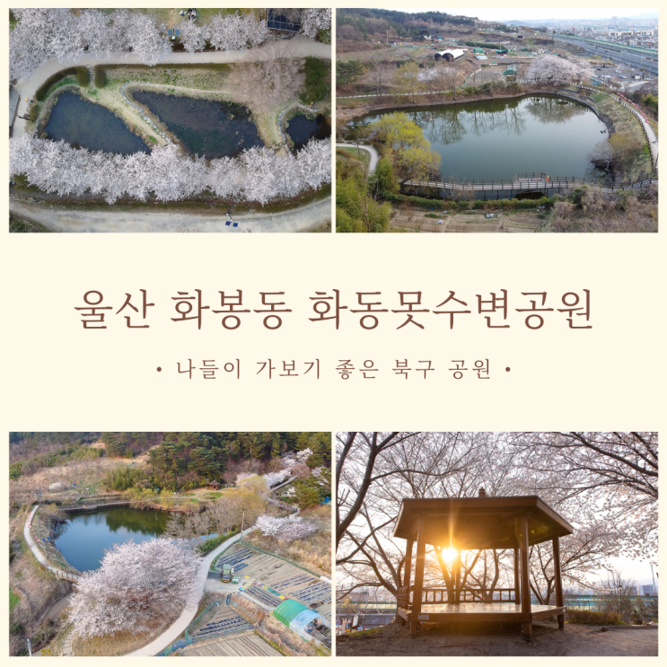 벚꽃보러가기좋은곳 울산 북구 화봉동 화동못 수변공원 네이버 블로그