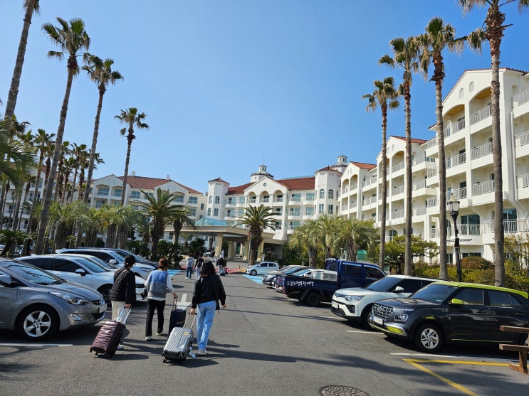 제주 함덕숙소 소노벨 제주 패밀리형 취사객실 오션뷰 제주동쪽여행숙소로 좋아요 네이버 블로그