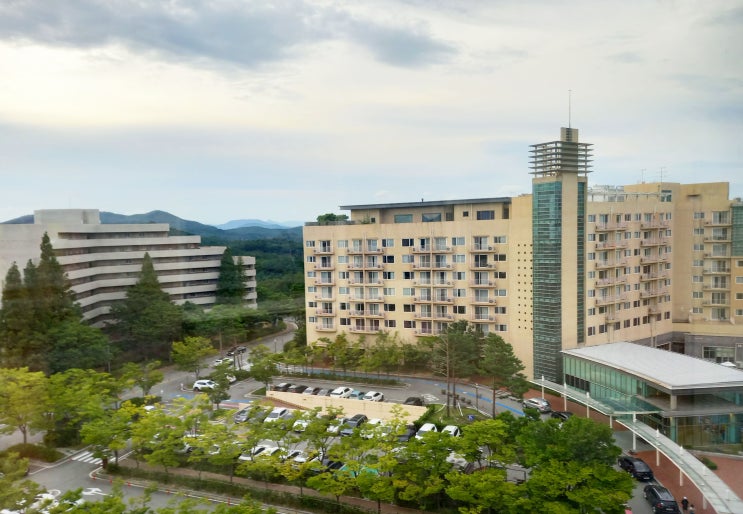 경주숙박경주여행 한화리조트 경주 담톤 디럭스 베드룸 후기 네이버 블로그