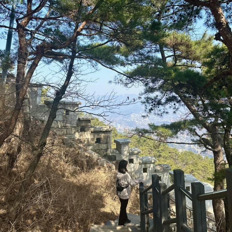 인왕산 등산 경복궁역에서 출발부터 숲속 쉼터까지 네이버 블로그