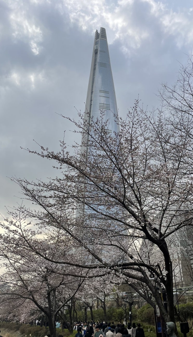 서울 잠실 시그니엘 호캉스의 모든 것 1편 체크인리버뷰웰컴티살롱드시그니엘아이폰어댑터석촌호수데이트 네이버 블로그