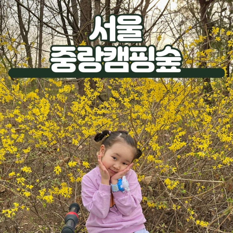 중랑 캠핑숲 서울 도심 속 놀곳 야외 바베큐장 And 숲 캠핑장 예약 정보 네이버 블로그