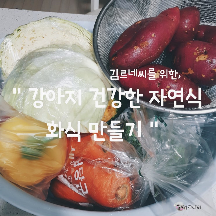 강아지 건강한 자연식 화식 만들기 강아지 건강에 좋은 퓨레 만들기 강아지한테 좋은 야채 네이버 블로그