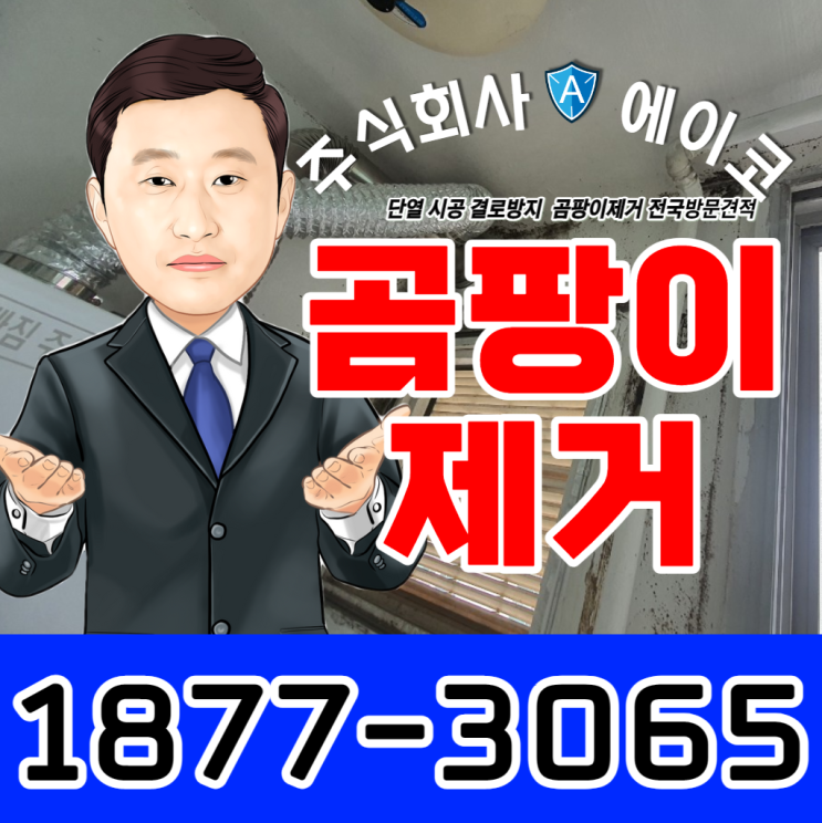 이천곰팡이제거 여주단열시공 충주 베란다결로 공사 견적 네이버 블로그