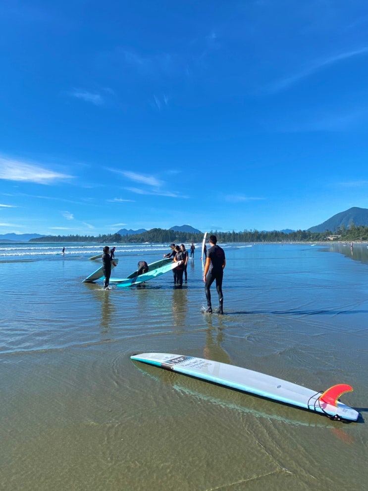 [밴쿠버 아일랜드 / Tofino] 서퍼들의 천국이라고 불리는 토피노 Cox Bay에서 서핑 후기 (Pacific Surf ...