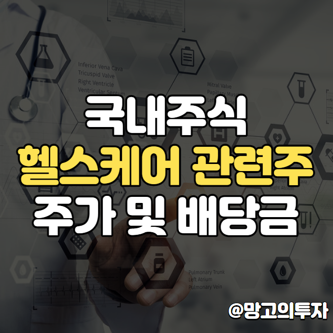 국내주식 헬스케어 관련주 셀트리온 유한양행 한미약품 Sk바이오팜 주가 및 배당수익률배당금 시가총액 Per Pbr Roe