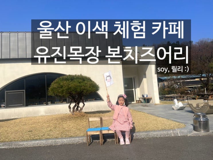 여행 울산 울주군 유진목장 본치즈어리 피자만들기 송아지 우유 주기 아이랑 이색 체험 네이버 블로그