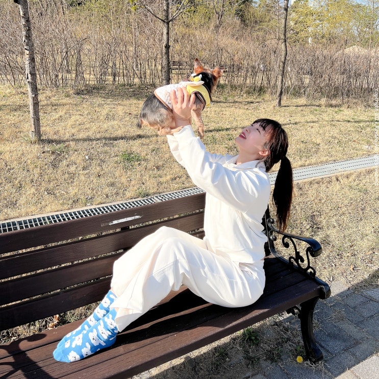 디스커버리 여성 크롭 트레이닝 세트입고 강아지 산책 와이드 트레이닝 팬츠 네이버 블로그