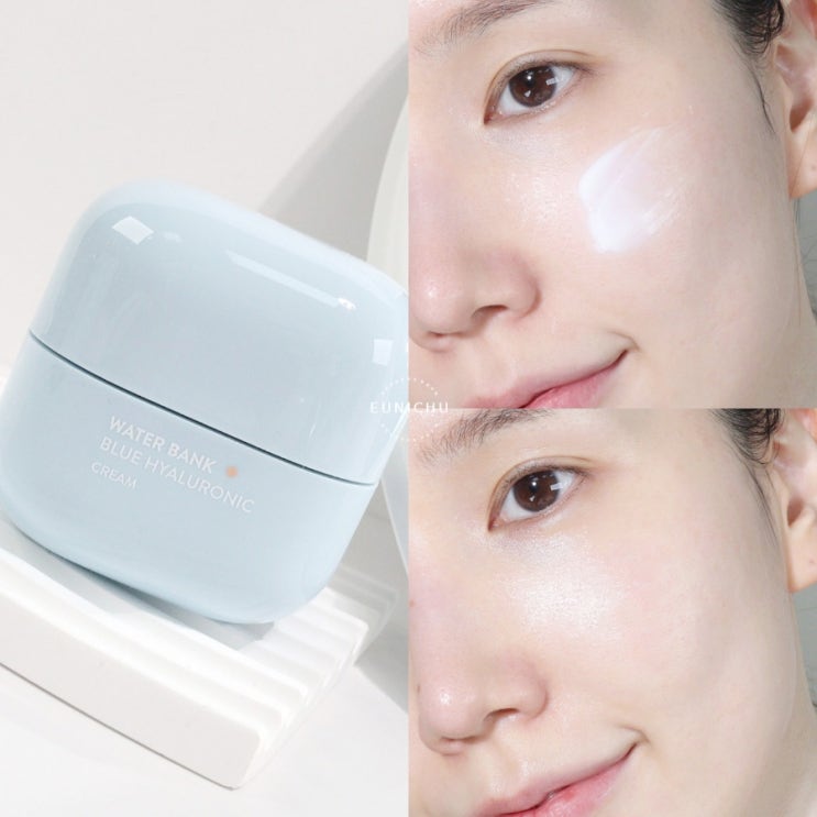 올리브영 수분크림 추천템 라네즈 워터뱅크 크림으로 약해진 피부장벽 속보습 채우기 네이버 블로그