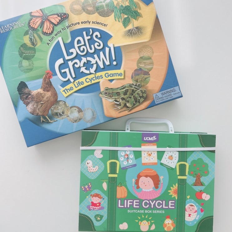 놀이로 배우는 life cycle - 러닝리소스 , : 네이버 블로그