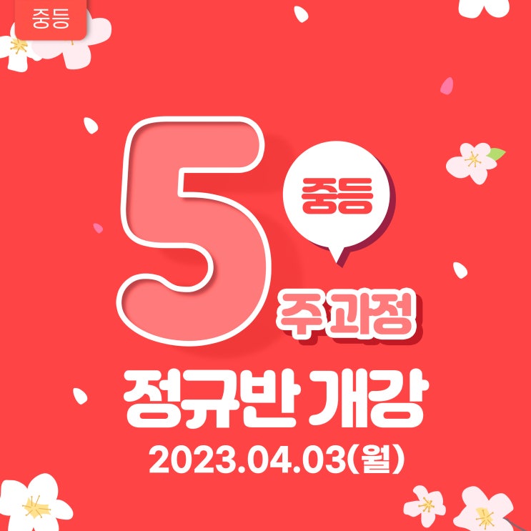 프로그램 중등 5주 과정 정규반 개강 이언어학원 네이버 블로그