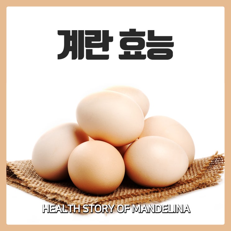 계란 및 노른자 효능과 삶은 계란 칼로리 네이버 블로그