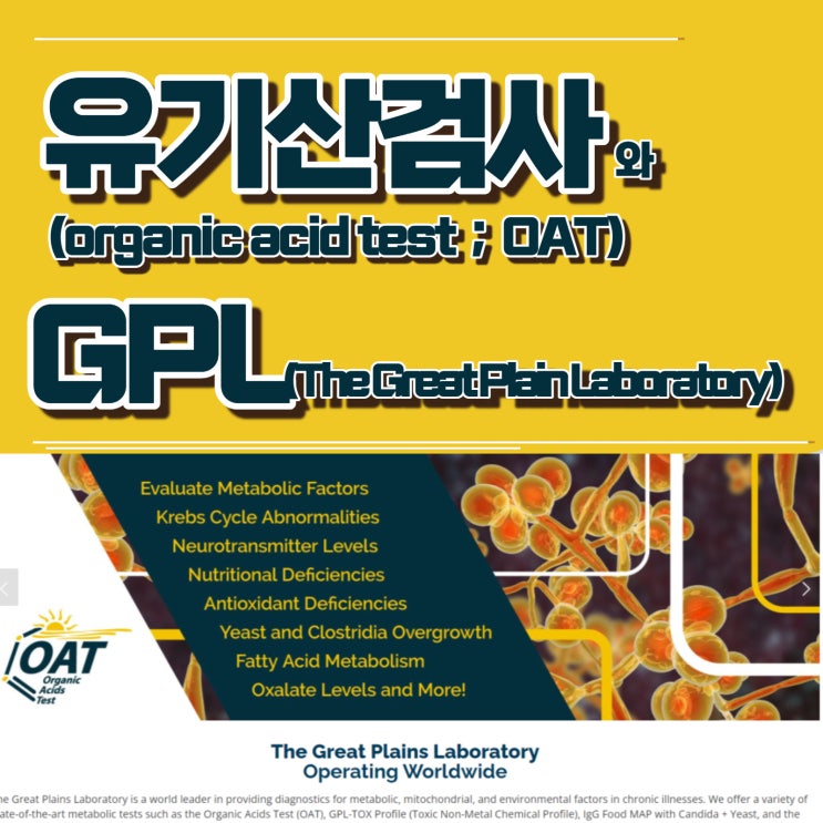 유기산검사(organic acid test;OAT)와 GPL(The Great Plain Laboratory) : 네이버 블로그