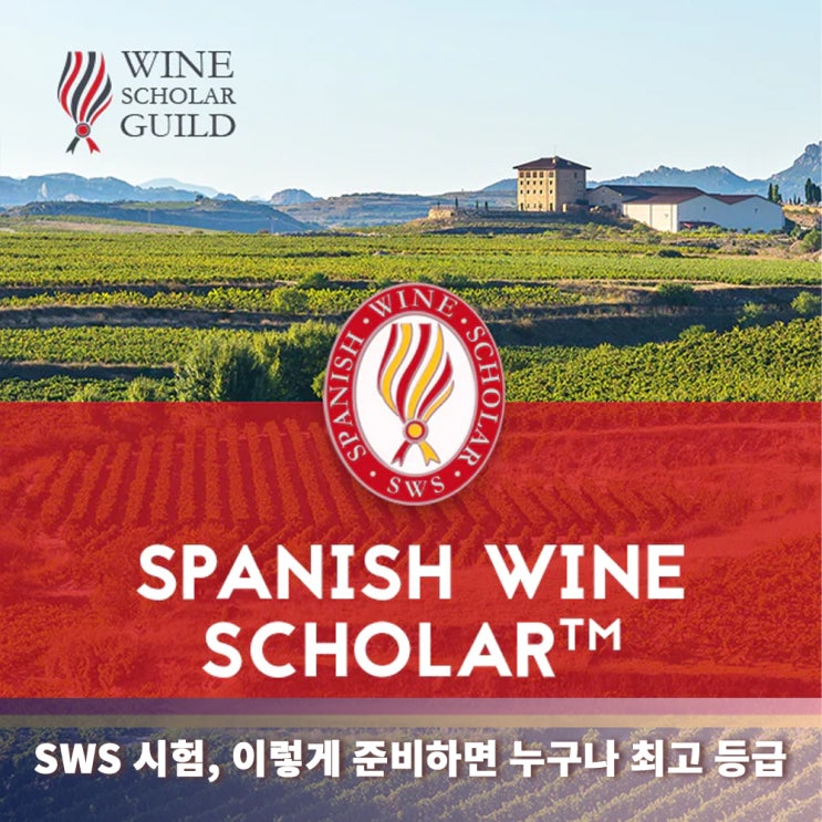 [와인 라이센스] 스페인 와인 전문가 과정(SWS) 시험, 이렇게 준비하세요 : 네이버 블로그