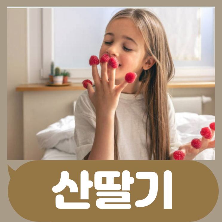 산딸기라즈베리 효능 철 영양 산딸기 영어로 하면 산딸기 먹는 법 네이버 블로그