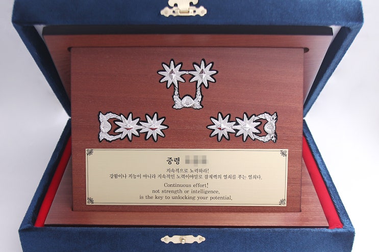 지치지않는 노력 중령 계급장 모장 견장 세트 군인 진급 선물 계급장 기념패 순은 군대 계급장 상패 실버 계급장
