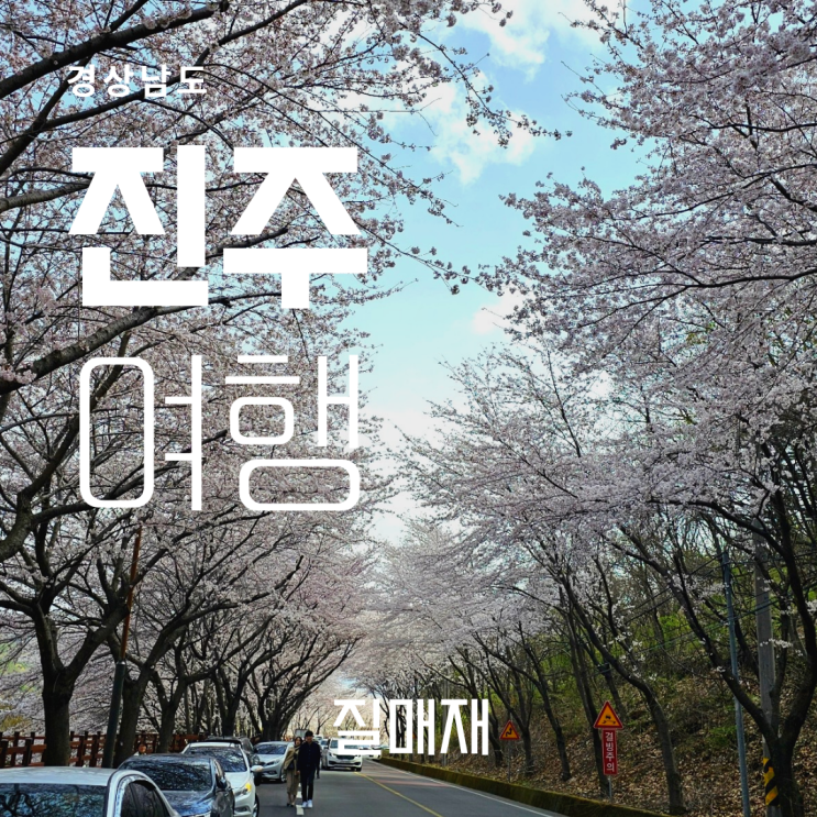진주 벚꽃 명소 드라이브 코스 금산 진성 월아산고개 질매재 월아산숲속의진주 개화 상태 내비검색방법 네이버 블로그