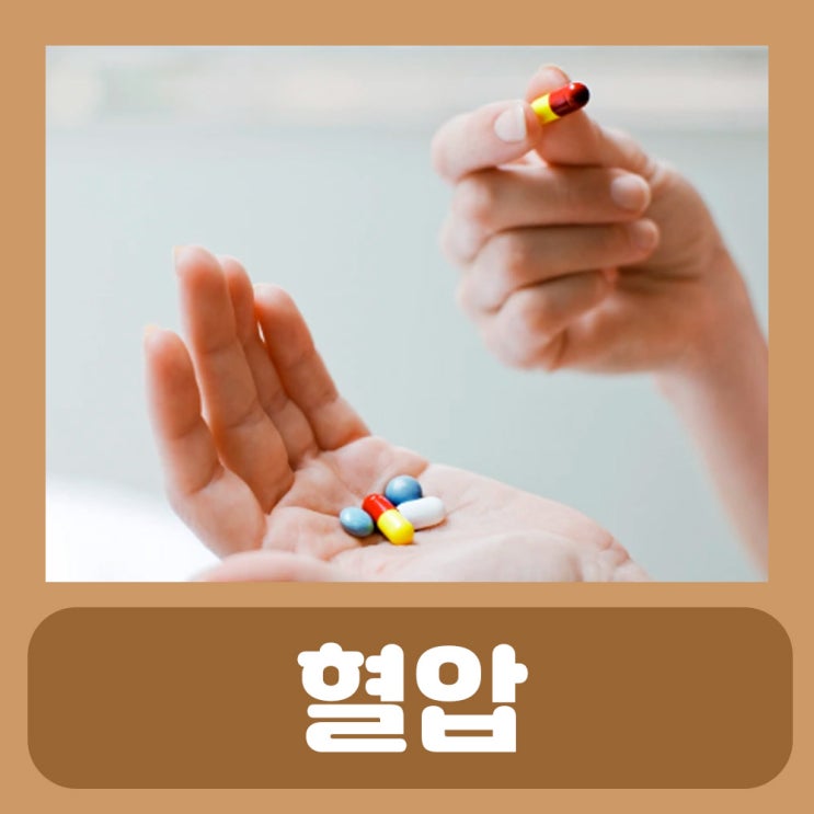 혈압약 이름 트윈스타정 리피토정 리바로정 아토르바스타틴 리피토 리바로 네이버 블로그