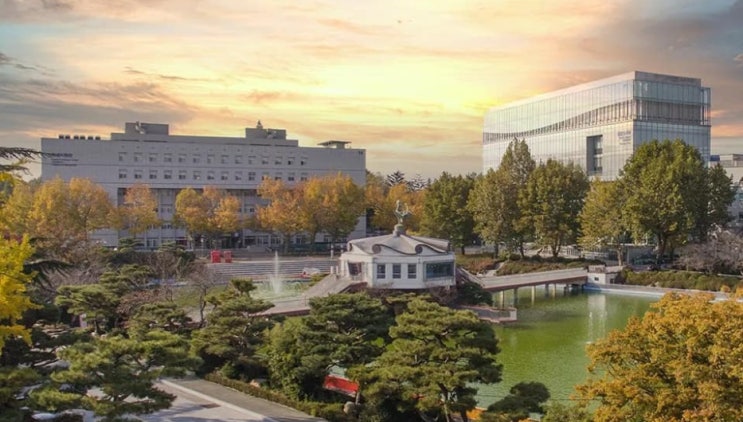 원광대 수시등급 및 경쟁률2022학년도 원광대학교 주요전형 입결 확인하고 합격하자 네이버 블로그