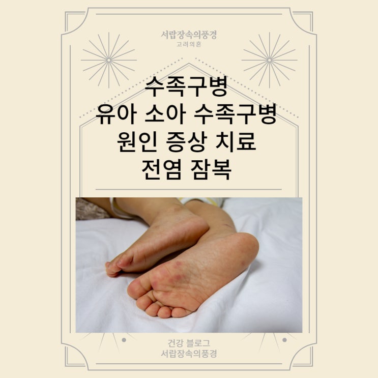 수족구병 증상 원인 잠복기 전염 치료 소아 유아 수족구병 전염 치료 수두와 차이점 네이버 블로그