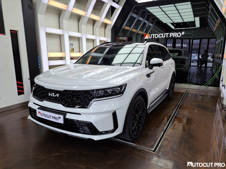 파주PPF 쏘렌토MQ4 생활보호,실내PPF시공으로 하이그로시 보호. : 네이버 블로그