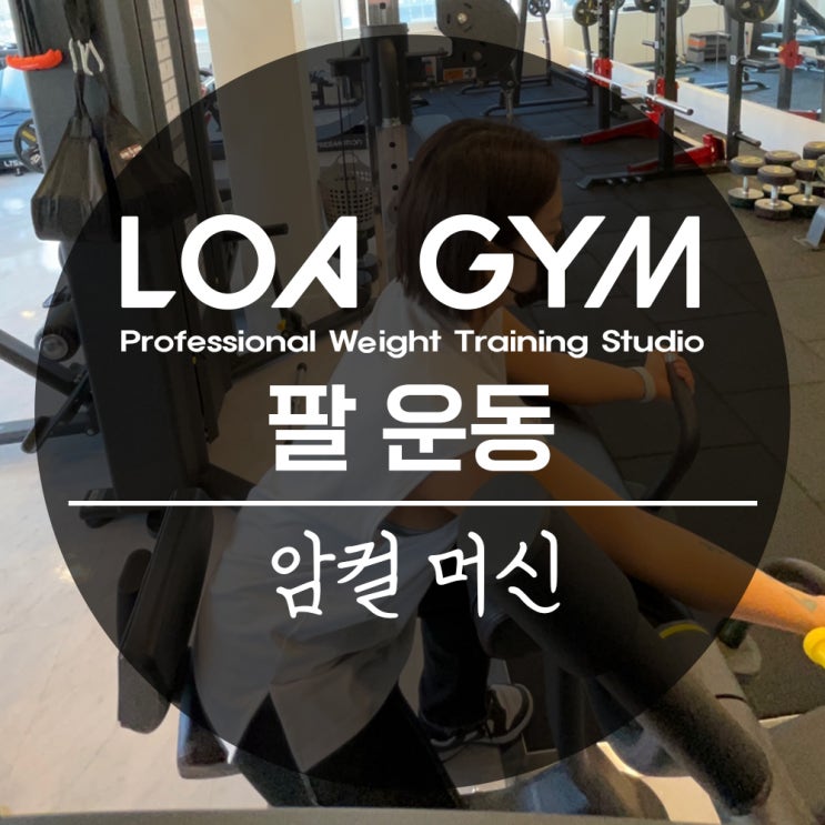 종암동pt 로아짐 배다은 트레이너가 알려주는 이두운동 암컬머신 네이버 블로그
