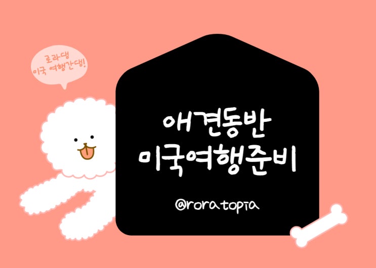 애견동반 미국 여행 준비 2 국제선 기내 애견동반 탑승 준비예방접종 및 서류 준비와 비용 네이버 블로그