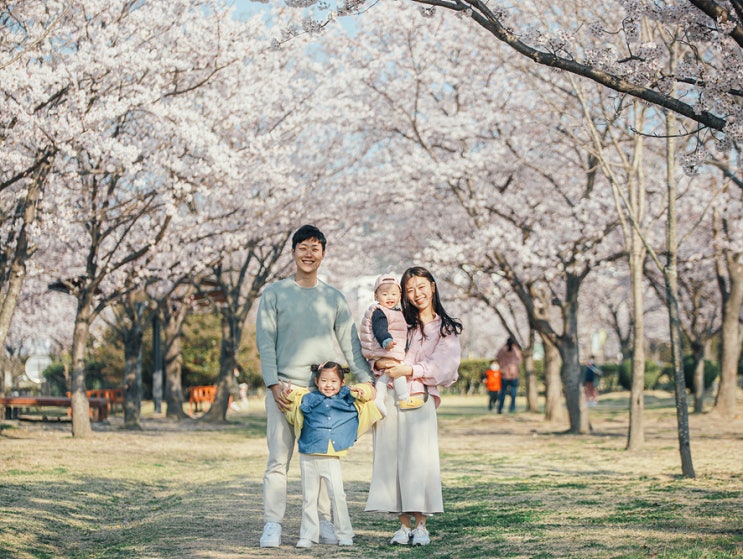 부산 벚꽃 명소 을숙도 생태공원 돗자리 펼치고 피크닉 예쁜 숨은 스팟 아이랑 꽃구경 해요 ♥ 네이버 블로그