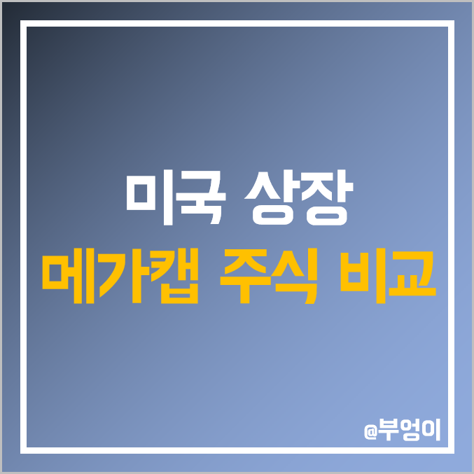 미국 메가캡 주식 비교 애플 구글 알파벳a 아마존 테슬라 엔비디아 페이스북 메타 존슨앤존슨 비자 엑슨모빌 월마트 머크 화이자