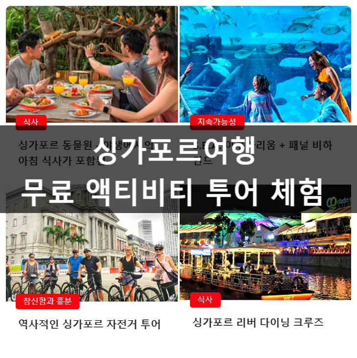 싱가포르 여행 준비 꿀팁 무료 액티비티 투어 체험하는 방법 네이버 블로그