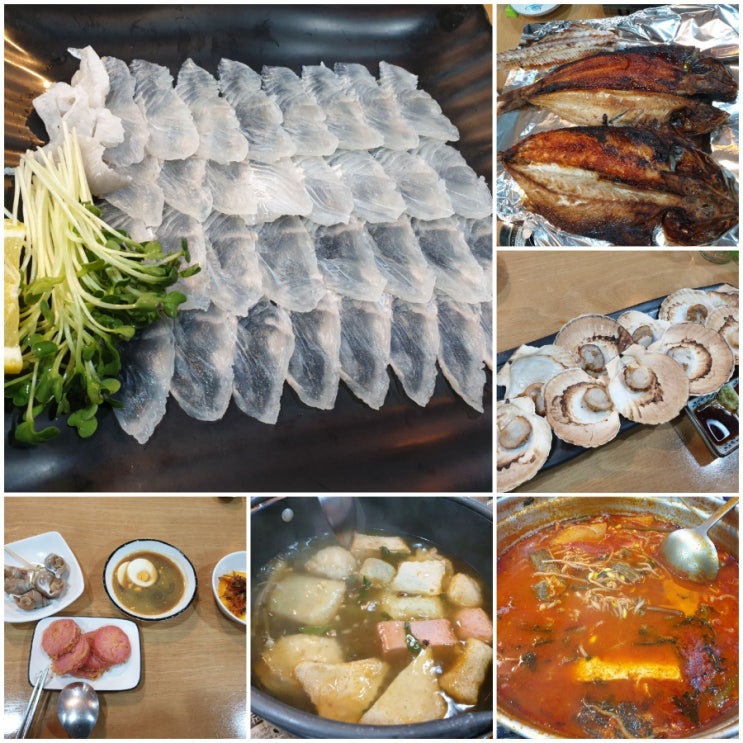 강릉송정동활어회해산물만승호포차해산물포차박철수박철수교수덕산박철수교수맛집한림성심대학교입학홍보처장수시합격
