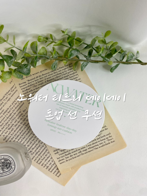 노워터 티트리 데이데이 톤업 선쿠션 사용후기 자극없이 화사하게 차단해요 네이버 블로그