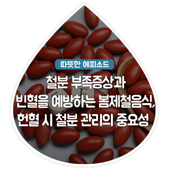 철분 부족 증상과 빈혈을 예방하는 봄 제철음식 헌혈 시 철분 관리의 중요성 네이버 블로그